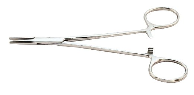 Webster Needle Holder - MEDizzy